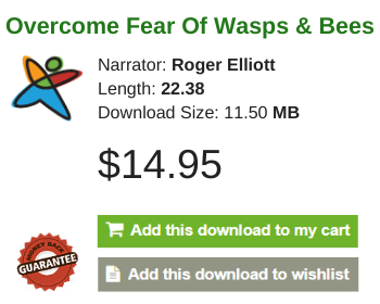 Apiphobia and Spheksophobia - Fear Of Wasps And Bees